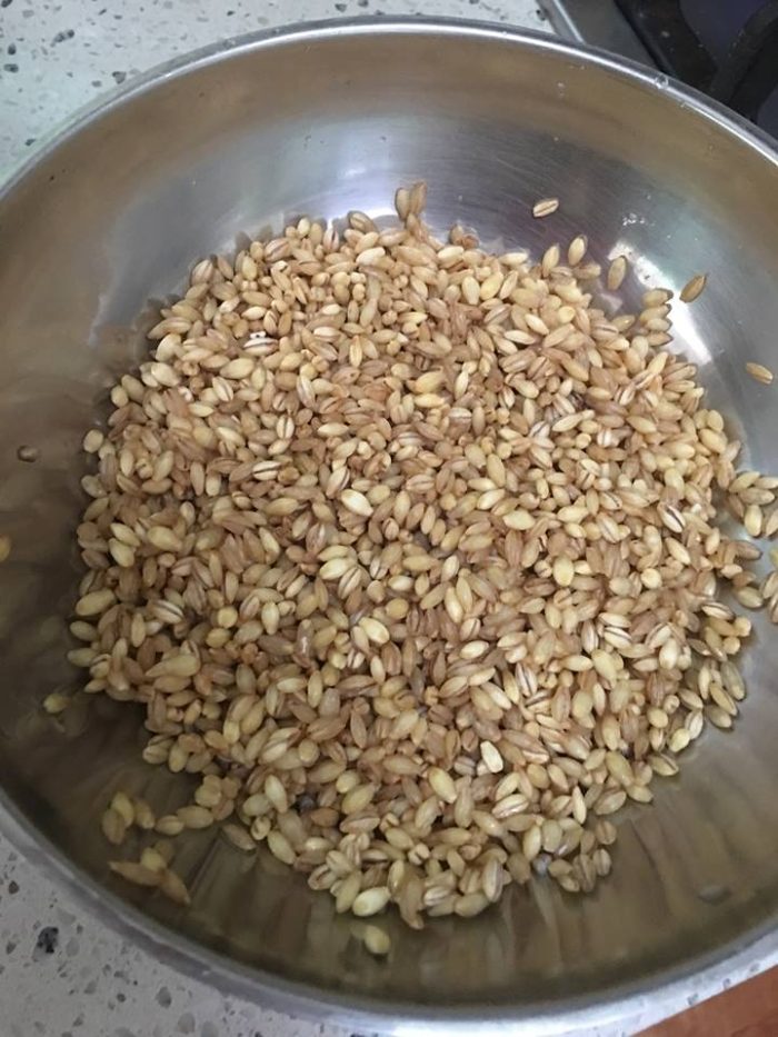 Barley Drink – Nyonyalicious